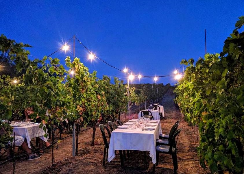 CENA IN VIGNA NELLE LANGHE DAL 7 GIUGNO AL 20 SETTEMBRE 2025